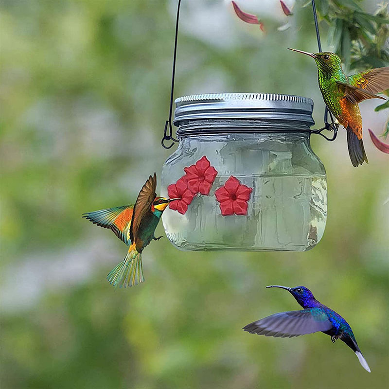 PVC Hummingbird Feeder For Garden | Shopee Philippines