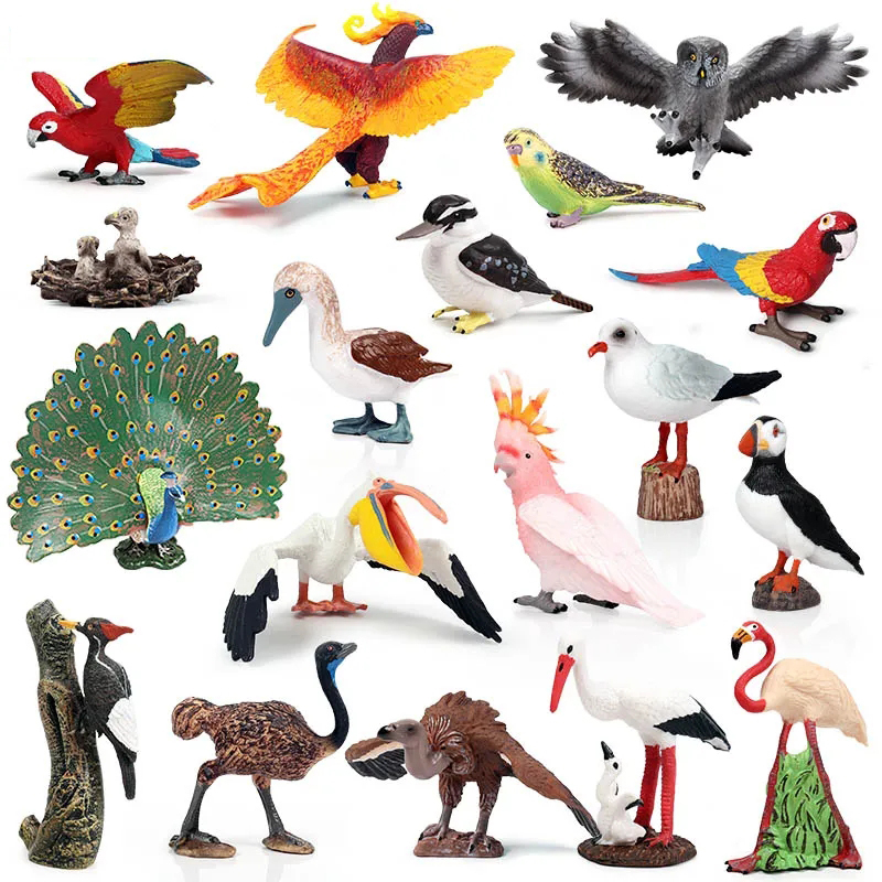 Original Wild Bird Animals Paradise Flamingos Macaw Sea Gull Pelican ...