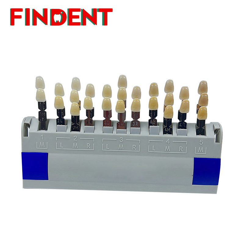 Dental Shape Guide 29 Colors Tooth Guide 3D Master VITA Teeth Color ...