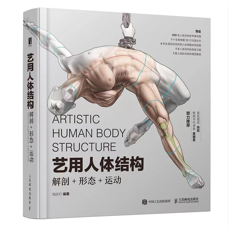 Artistic Human Body Structure Anatomy Form Exercise Dynamic Anatomy ...