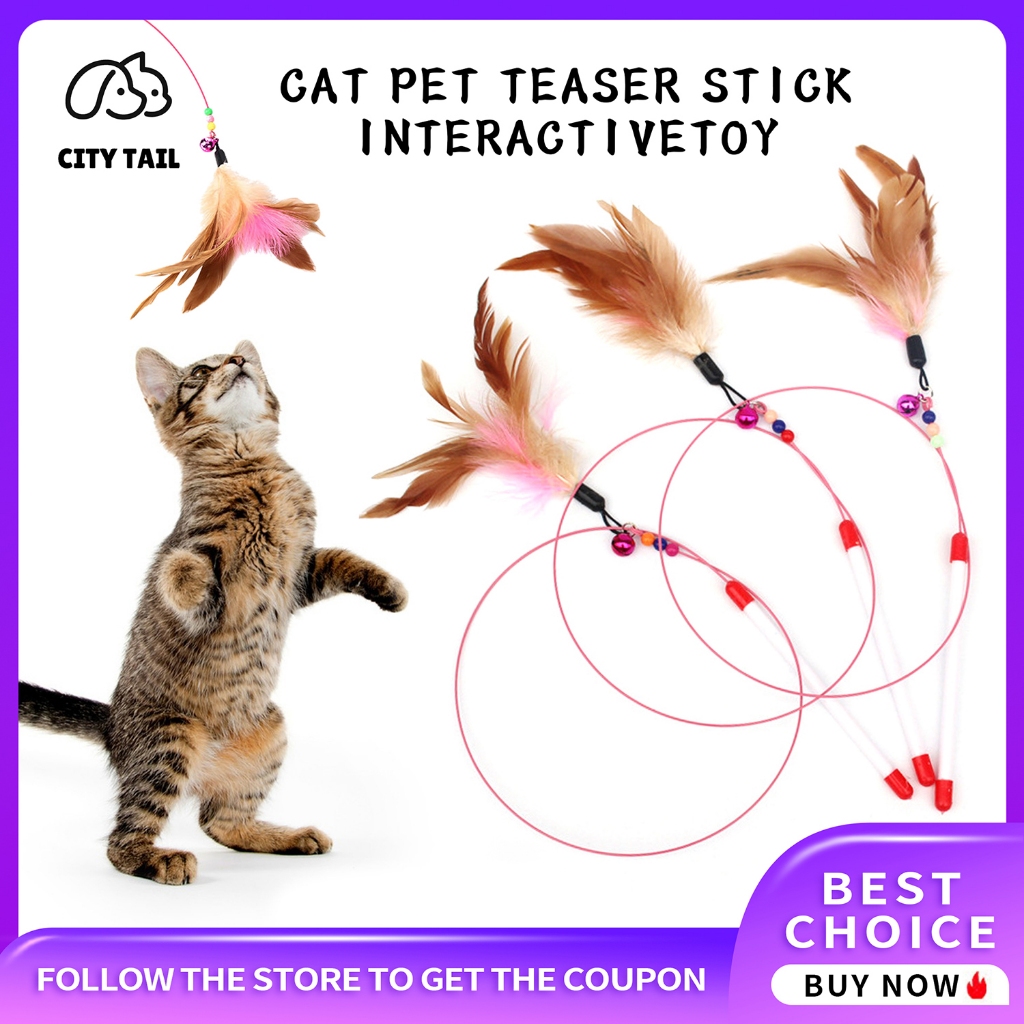 Steel Wire Feather Cats Teaser Pet Wand Teasing Cats Sticks Cats Toy ...