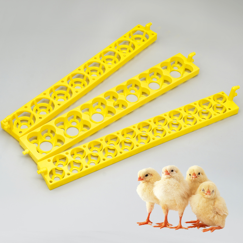 Incubator automatically turns eggs Plastic egg tray Incubator ...