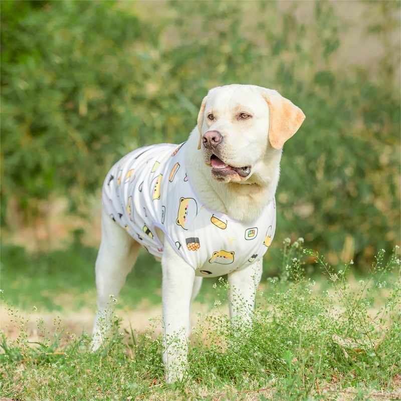 Dog Clothes Pet Clothes for Labrador Summer Thin Style Abrasionproof ...