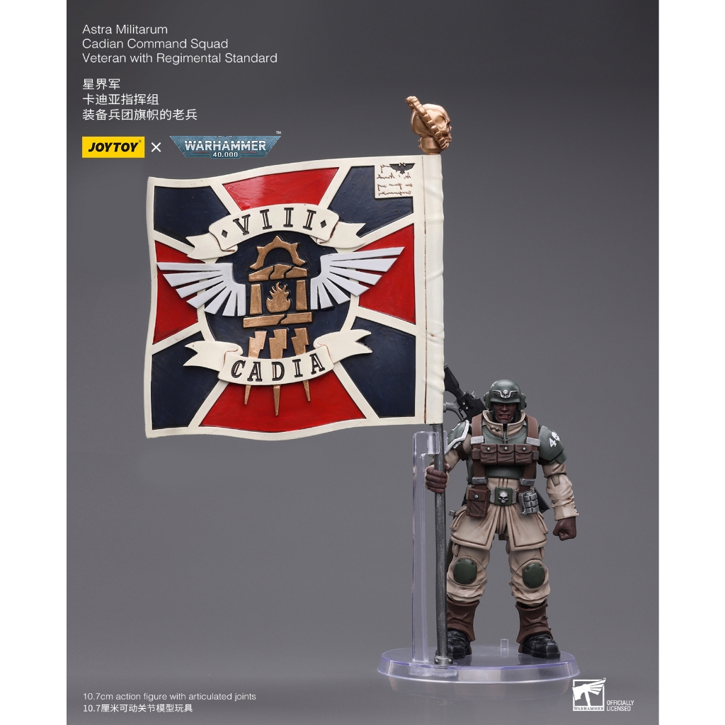 (In Stock) Astra Militarum Cadian Command Squad Veteran with Regimental ...