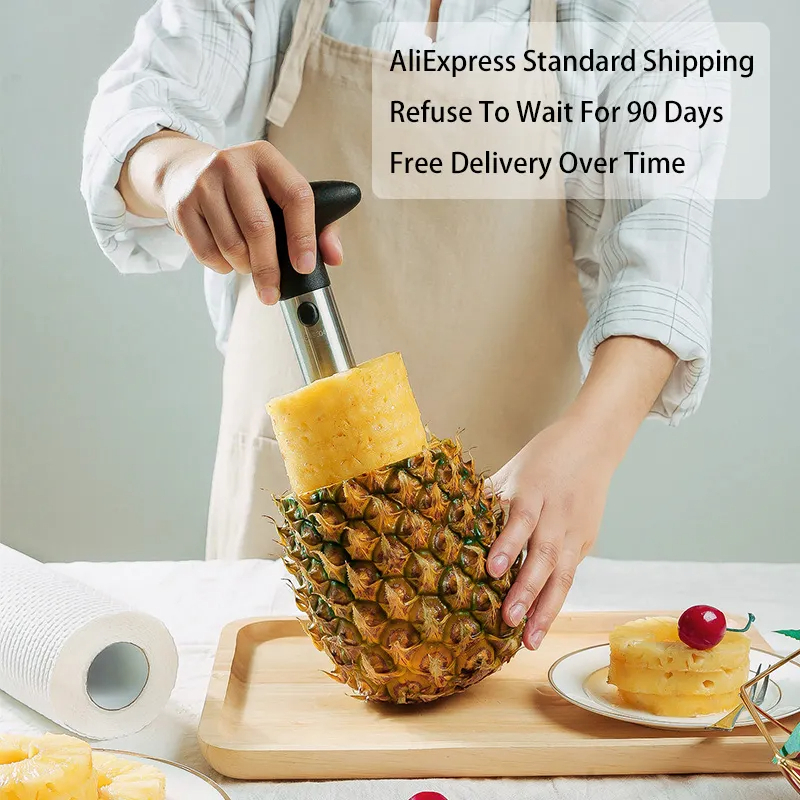 KEMORELA Pineapple Corer Slicer Handheld Cylindrical Stainless Steel ...