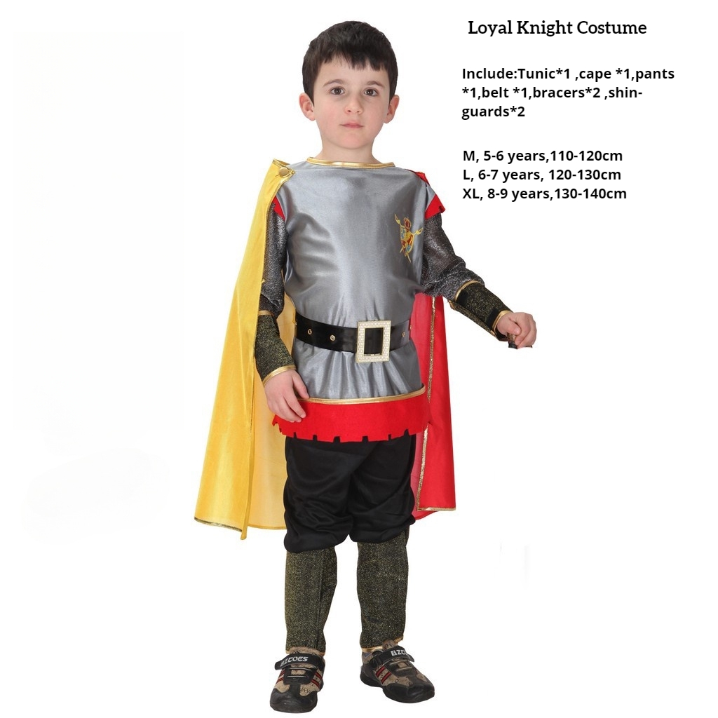 Kids Boys Halloween Loyal Knight Costume Child Theme Party Prince ...