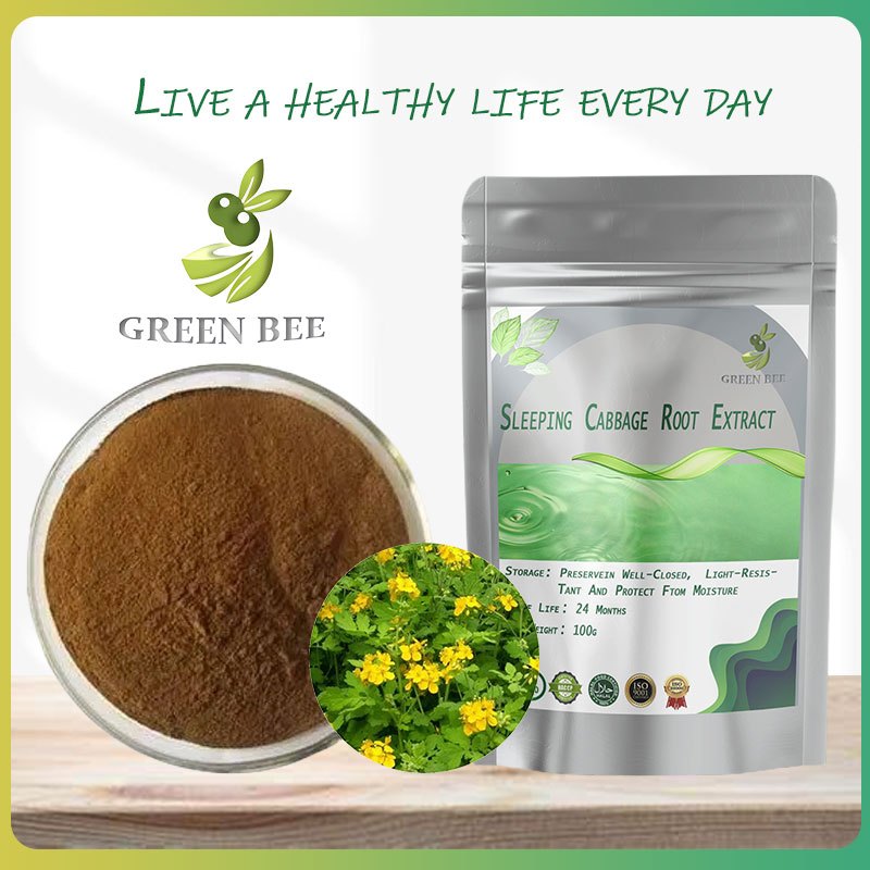 【100-1000g】Chelidonium Majus Extract/Pain relief/Cough relief ...