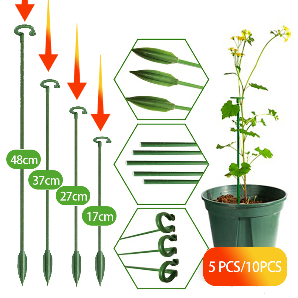 [Featured] 17/27/37/48cm Plant Shape Bracket/Anti-lodging Phalaenopsis ...