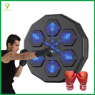 ZC Music Electronic Boxing Wall Target Boxing Machine Electronic Boxing ...