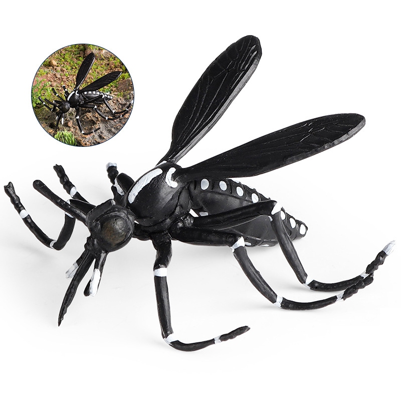 Children simulation solid insect toy animal model mosquito albopictus ...