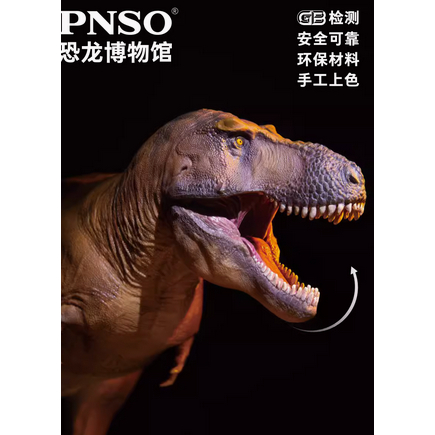 PNSO New Edition Tyrannosaurus Rex Cameron with Tyrannosaurus Rex Head ...