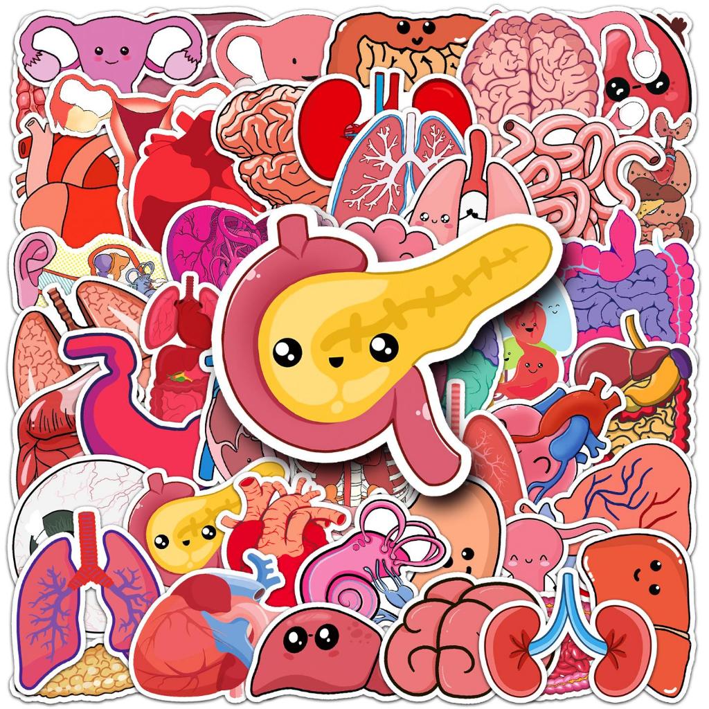50pcs Cartoon Organ Graffiti Waterproof Stickers For DIY Phones Laptop ...