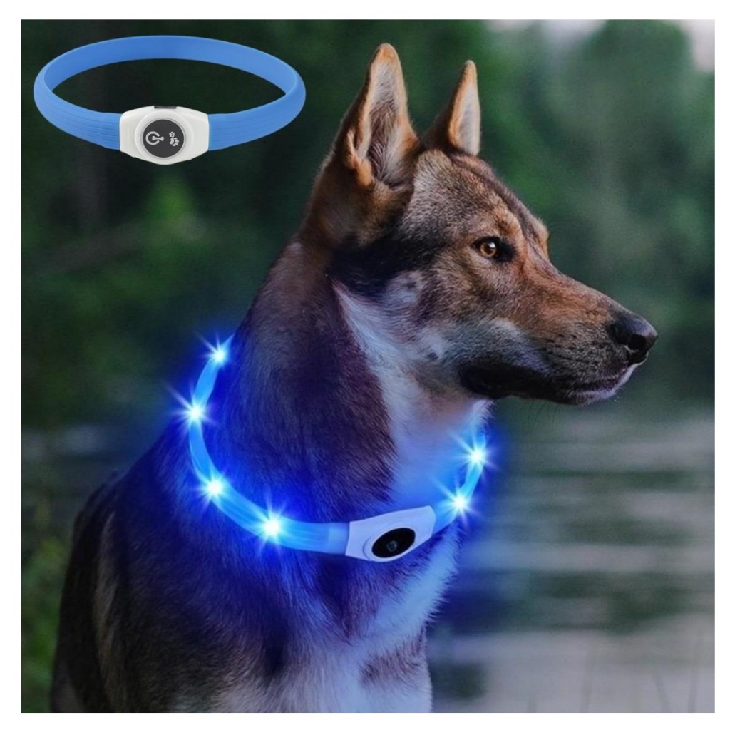 New Led Luminous Dog Collar PVC Waterproof , For Large Medium Small ...