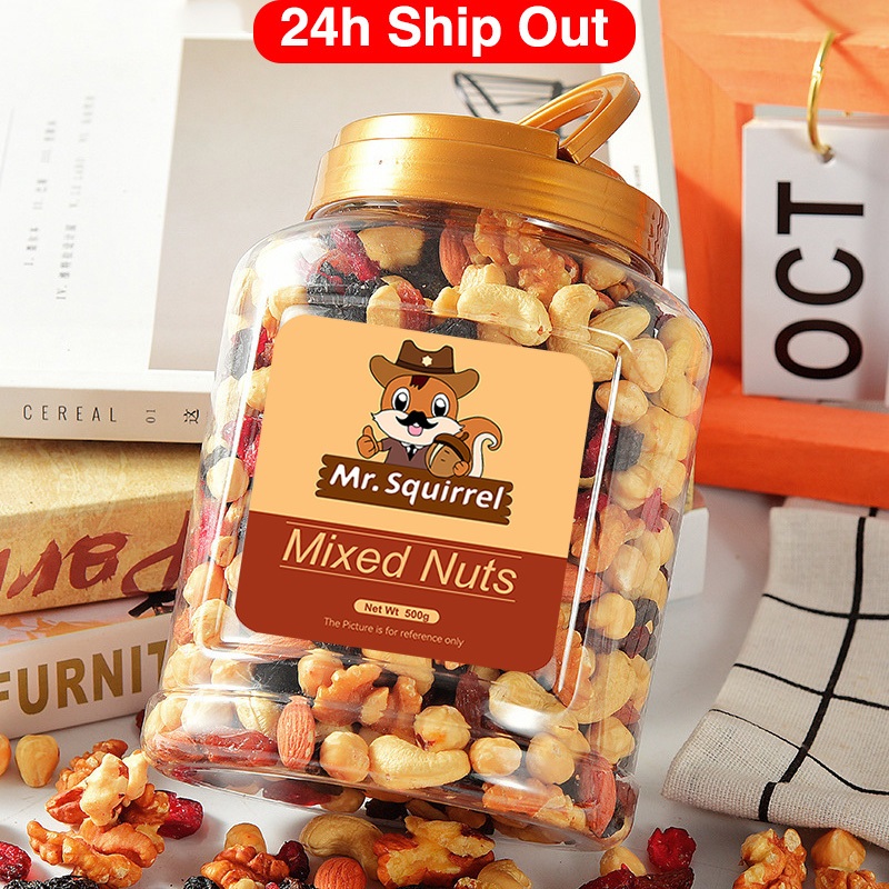 Mr Squirrel Mixed Nuts and Fruits Daily Snacks Mixed Nuts Healthy Snack Trail Mix Fruit and Nut ...