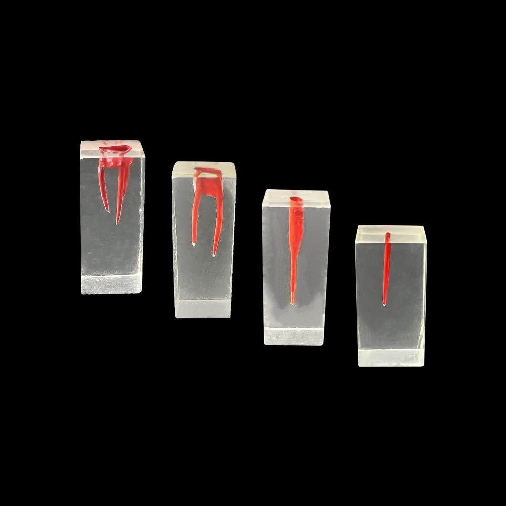Dental Endodontic Model Root Canal Block Teeth Pulp Cavity Practice ...
