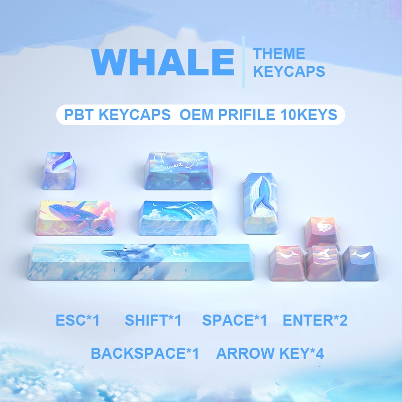 10Keys PBT Keycaps OEM Profile Custom keycaps Double Shot Keycaps for ...