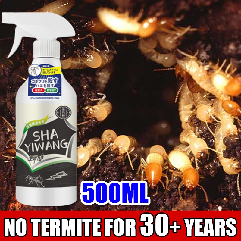 Death on contact DPP Termite spray killing termites Anay termit killer ...