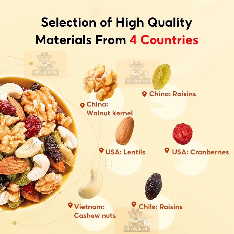 Mr Squirrel 500g Mixed Nuts and Fruits Daily Snacks Mixed Nuts Healthy ...