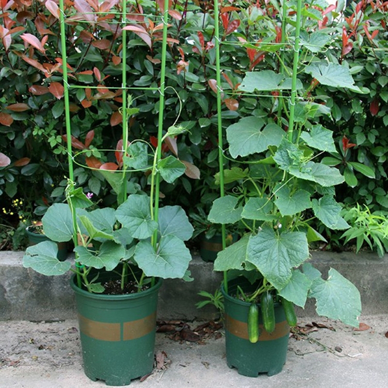 Climbing Vine Rack Plant Support Frame Garden Plant Flower Trellis ...