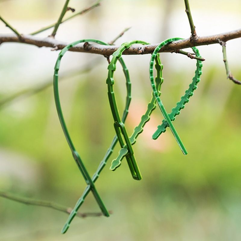 50PCS Horticultural Tying Wire Iron Wire Climbing Vine Frame Wrapping ...