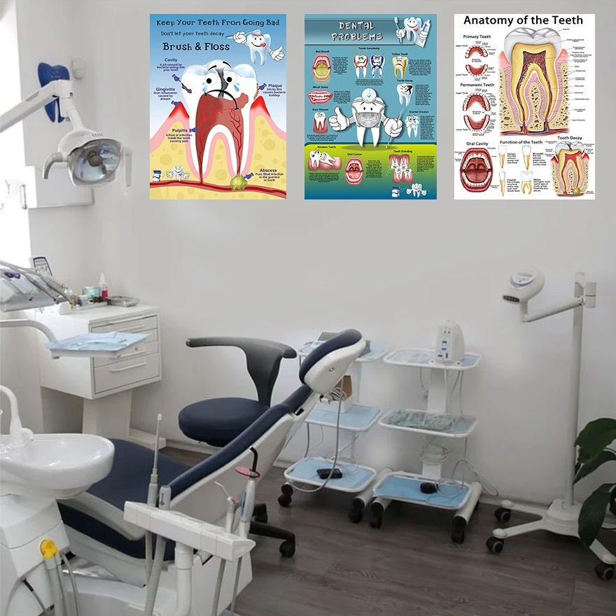 Dental Clinic Dentist Anatomy of the Teeth Mural Wall Art Pictures ...
