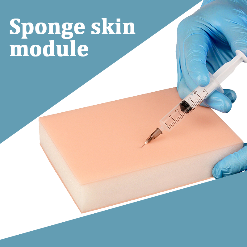 Skin Injection Module // Multifunctional Blood-Returning Vein Model ...