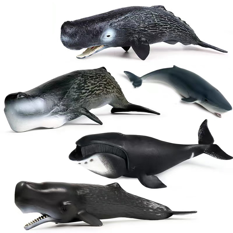 simulation marine animal model early childhood education sperm whale ...