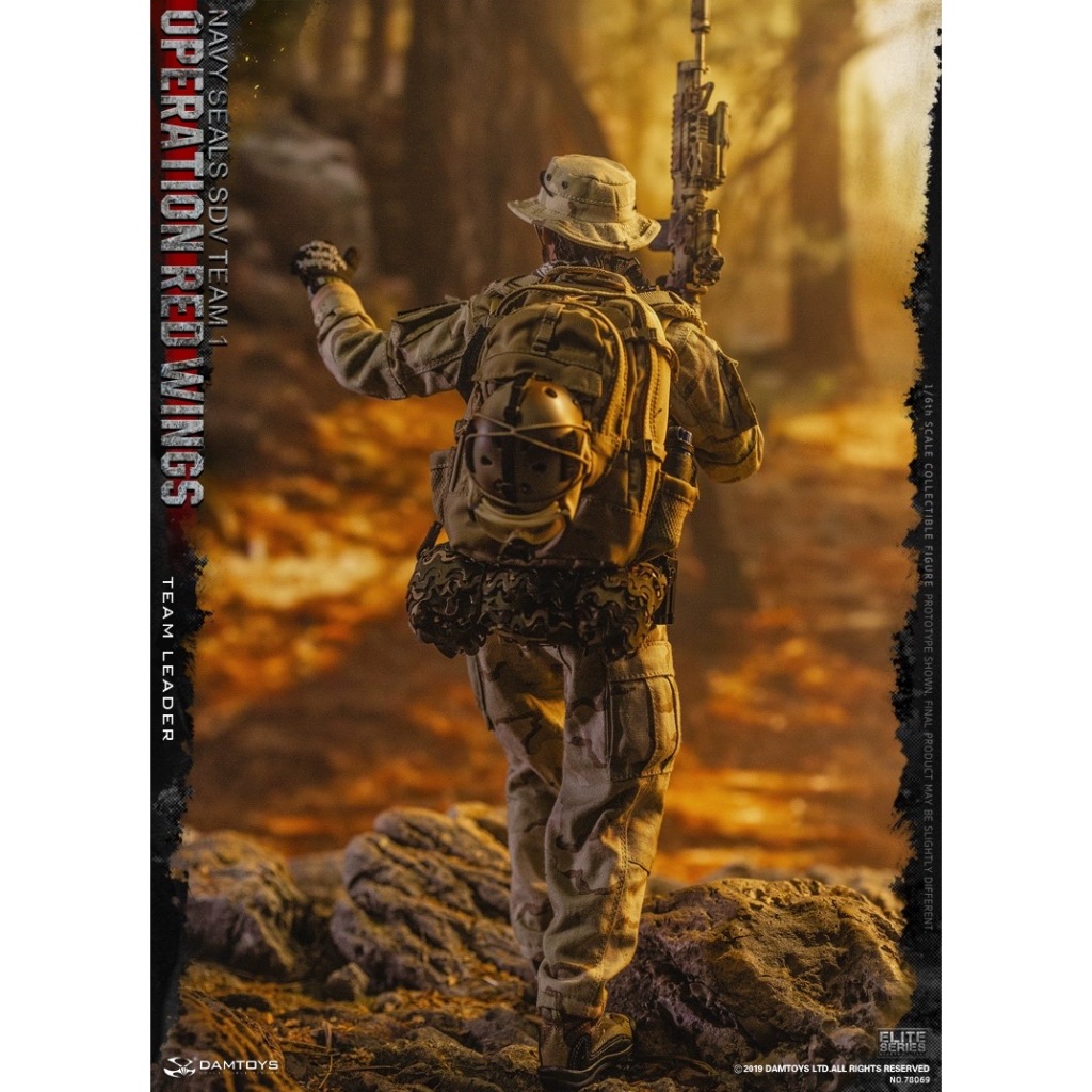 Out of Print DAMTOYS 1/6 Soldier 78069 Red Wing Operation SEAL Special ...