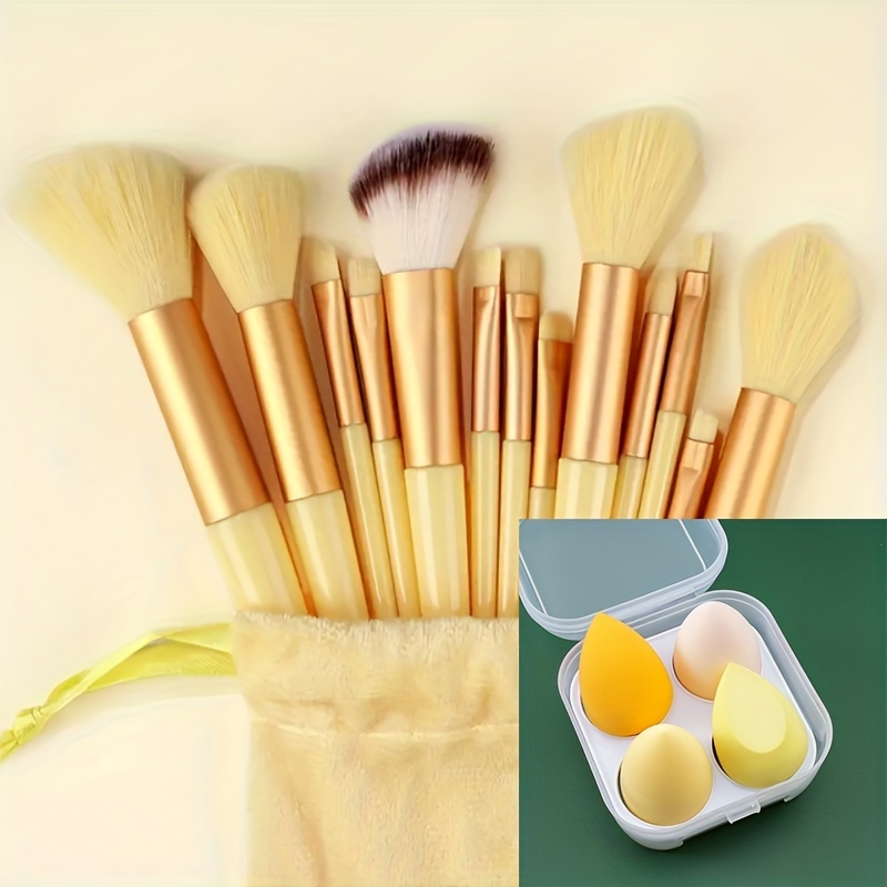 17pcs Makeup Brush & Makeup Sponge Kit, 13Pcs Premium Makeup Brush Set ...