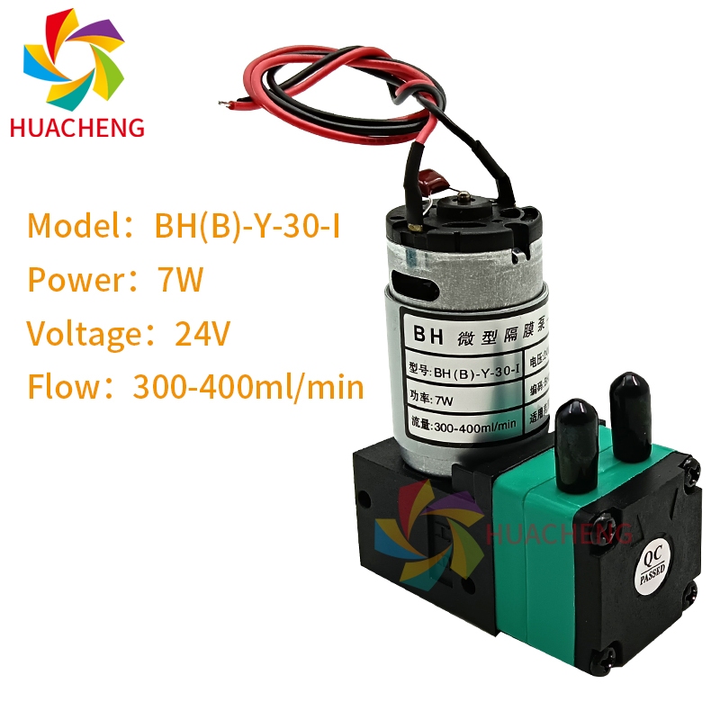 1 PCS Printer Part BH Micro Big Ink Pump for Wit-Color/Sky-Color/DX5 ...