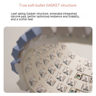 RK ROYAL KLUDGE RK R65 60% Size RGB Hotswap Gasket Structure PBT ...