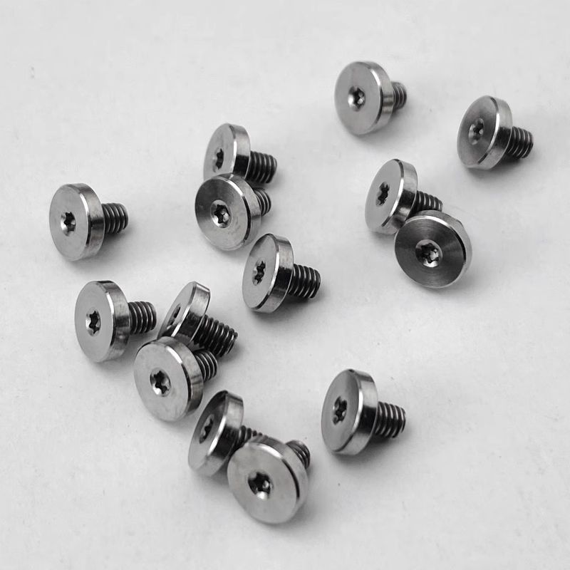 Titanium Alloy Flat Head Screw M3 Flat Head T8 Screw | Shopee Philippines
