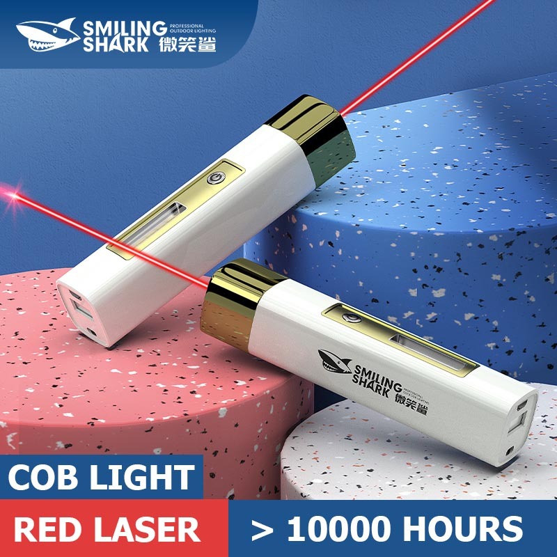 SmilingShark JG867 Green Laser Pointer Portable Red Laser Pen USB ...
