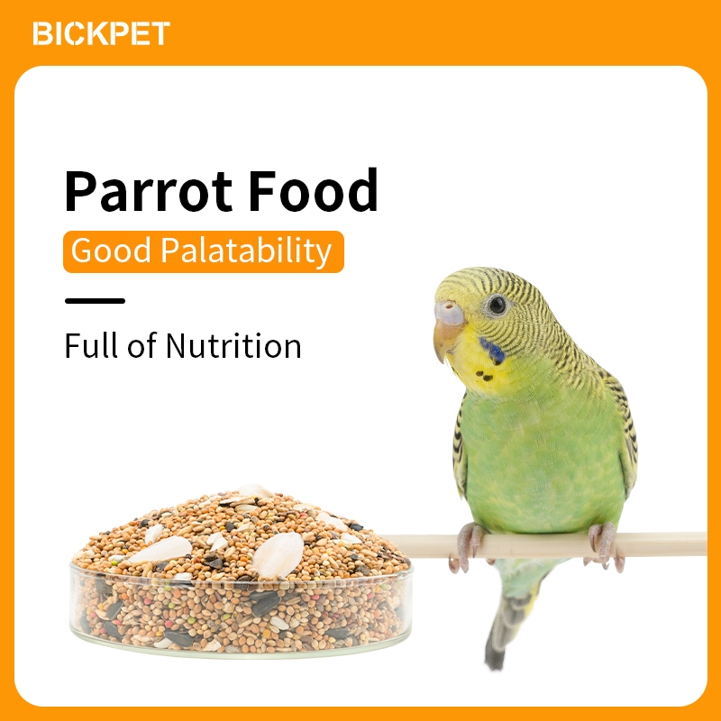 BICKPET Parrot Food grain Parakeet Food Wholesome Seeds Nuts Fruits and ...