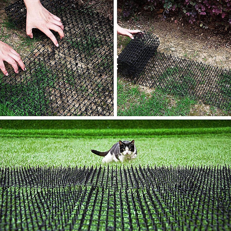 Plastic anti cat stab mat to prevent bed crawling, disorderly urination ...