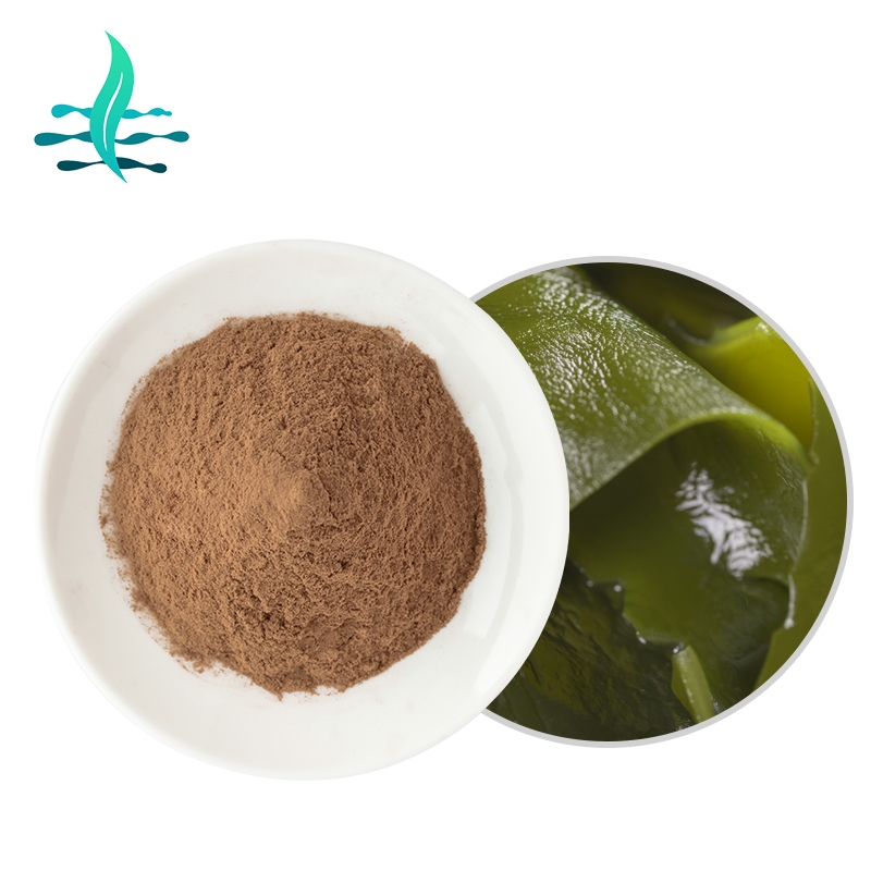 Wholesale Natural Bulk Kelp Extract Laminaria Digitata Extract | Shopee ...