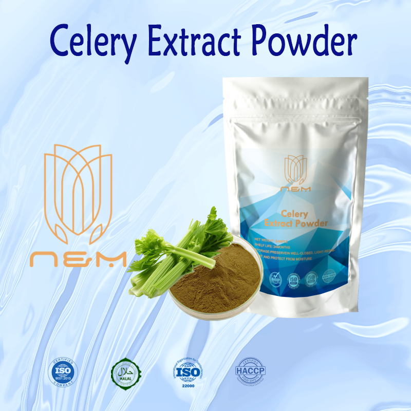 Celery Extract Powder/Control blood lipids and blood pressure/Rich in ...