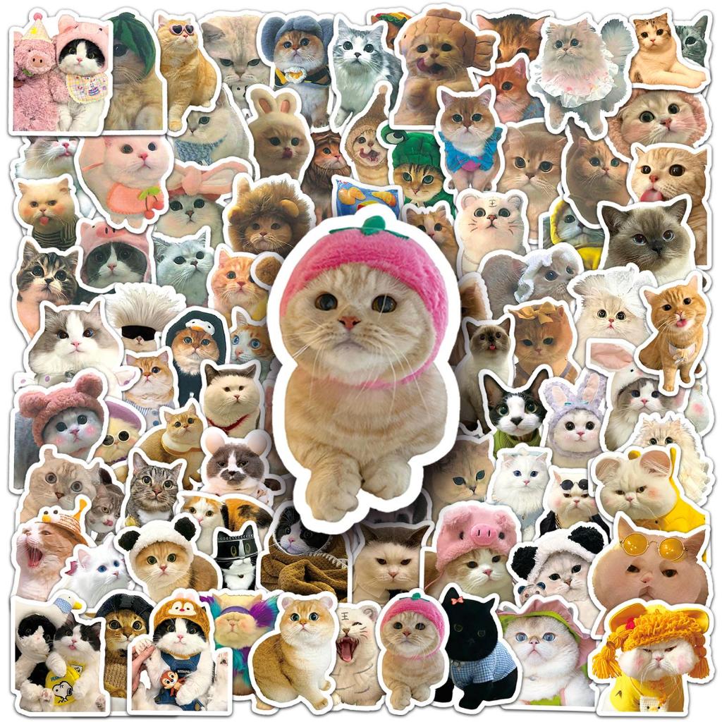 Random 10/100 Piece Funny Cat DIY Creative Waterproof Sticker For ...