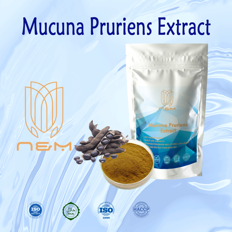 Mucuna Pruriens Extract/Protect the liver/Control blood sugar/Improve ...