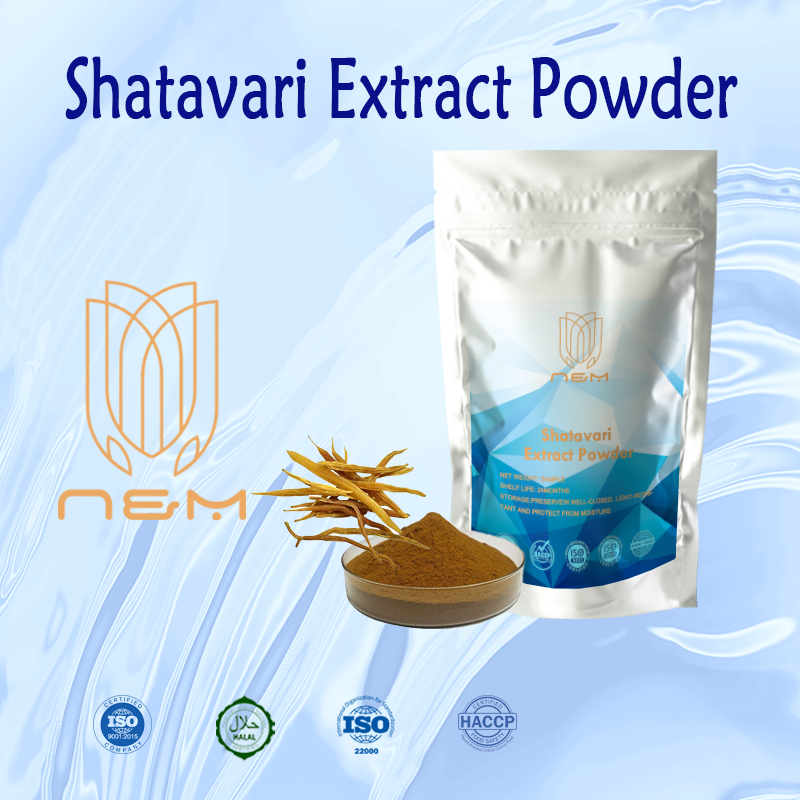 Shatavari Extract Powder/Increase breast milk/Reduce mood/Help with ...