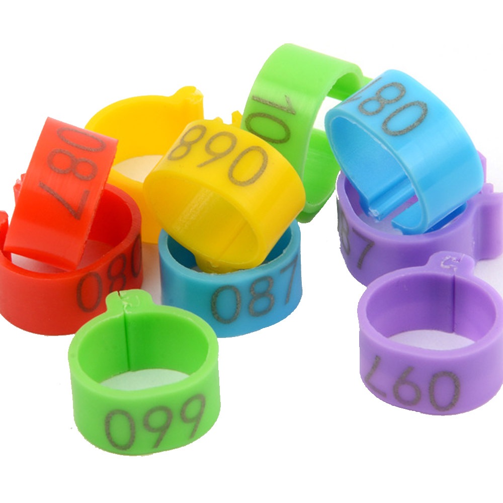 100 Pcs Poultry 1.6cm/2.0cm Leg Rings Chicken, Duck, Goose Foot Ring No ...