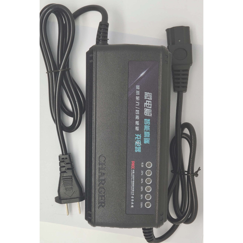 48v Smart Intelligent Charge For Ebike Used For Lead Aicd Battery For