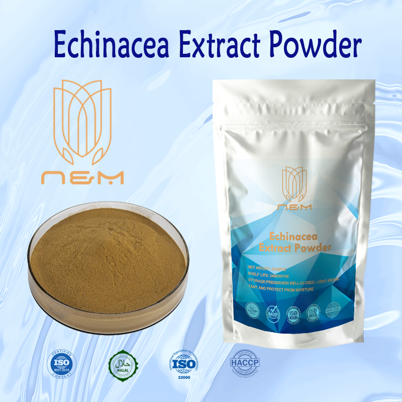 Echinacea Extract Powder/Relieve colds/Improve immunity/Anti ...