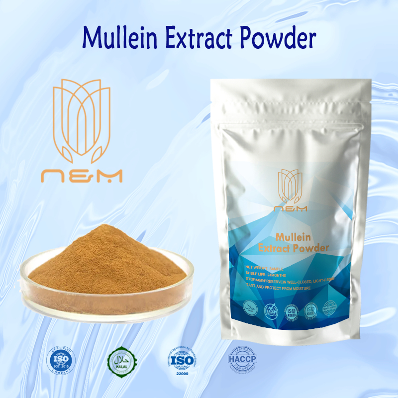 Mullein Extract Powder/Promotes lung health/Natural lung cleansing ...