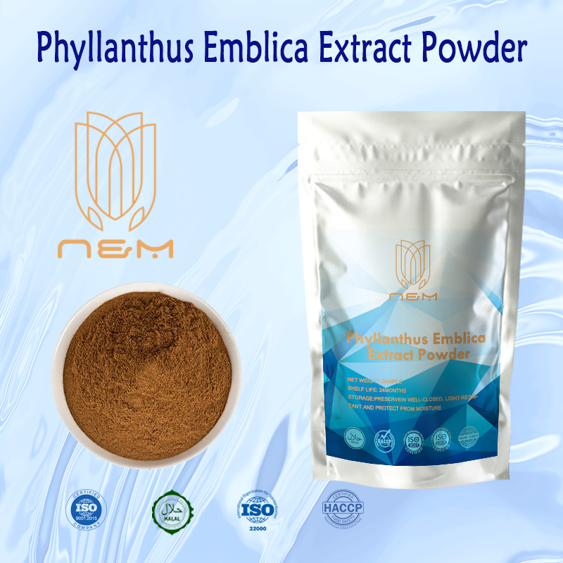 N&M/ Phyllanthus Emblica Extract Powder/ Yu Gan Zi/ Amla/ Good for skin ...
