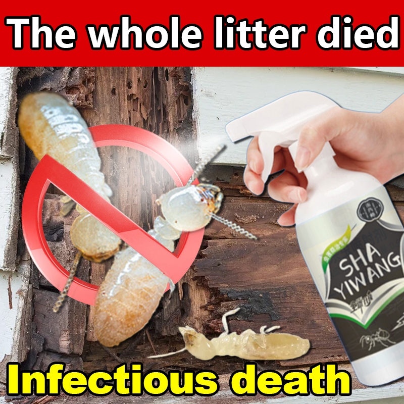 99.99% Effective NB Termite killer spray 500ml Termite extermination ...