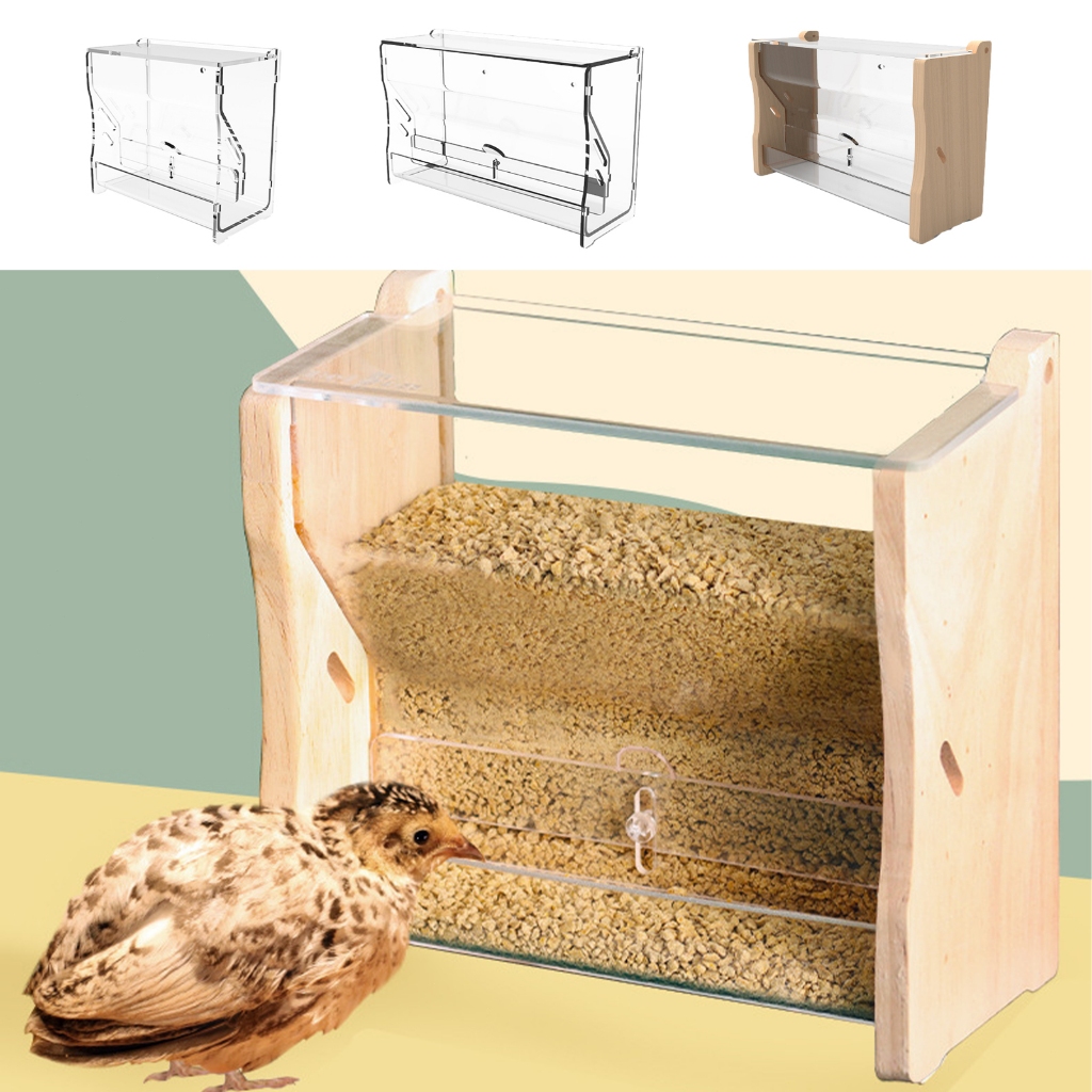 Quail Feeder, Lutefisk Chicken Feeder, Chicken Feeder, Automatic Trough ...