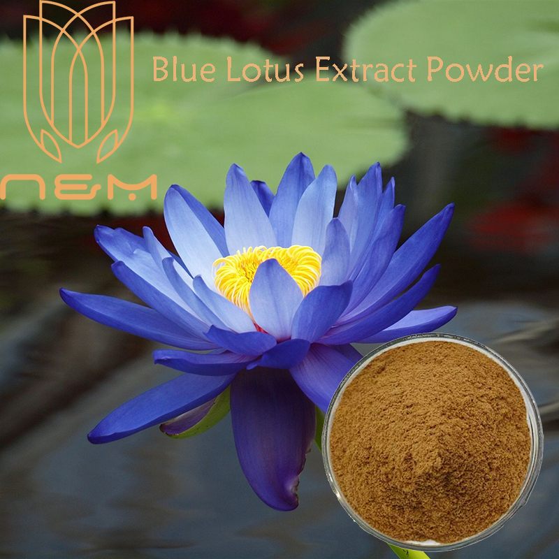 N&M/ Blue Lotus Extract Powder / Relieve anxiety/ Promote sleep / Rrich ...