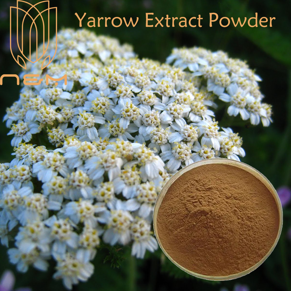 N&M/ Yarrow Extract Powder/ Women menstrual supplements / Relieve loss ...