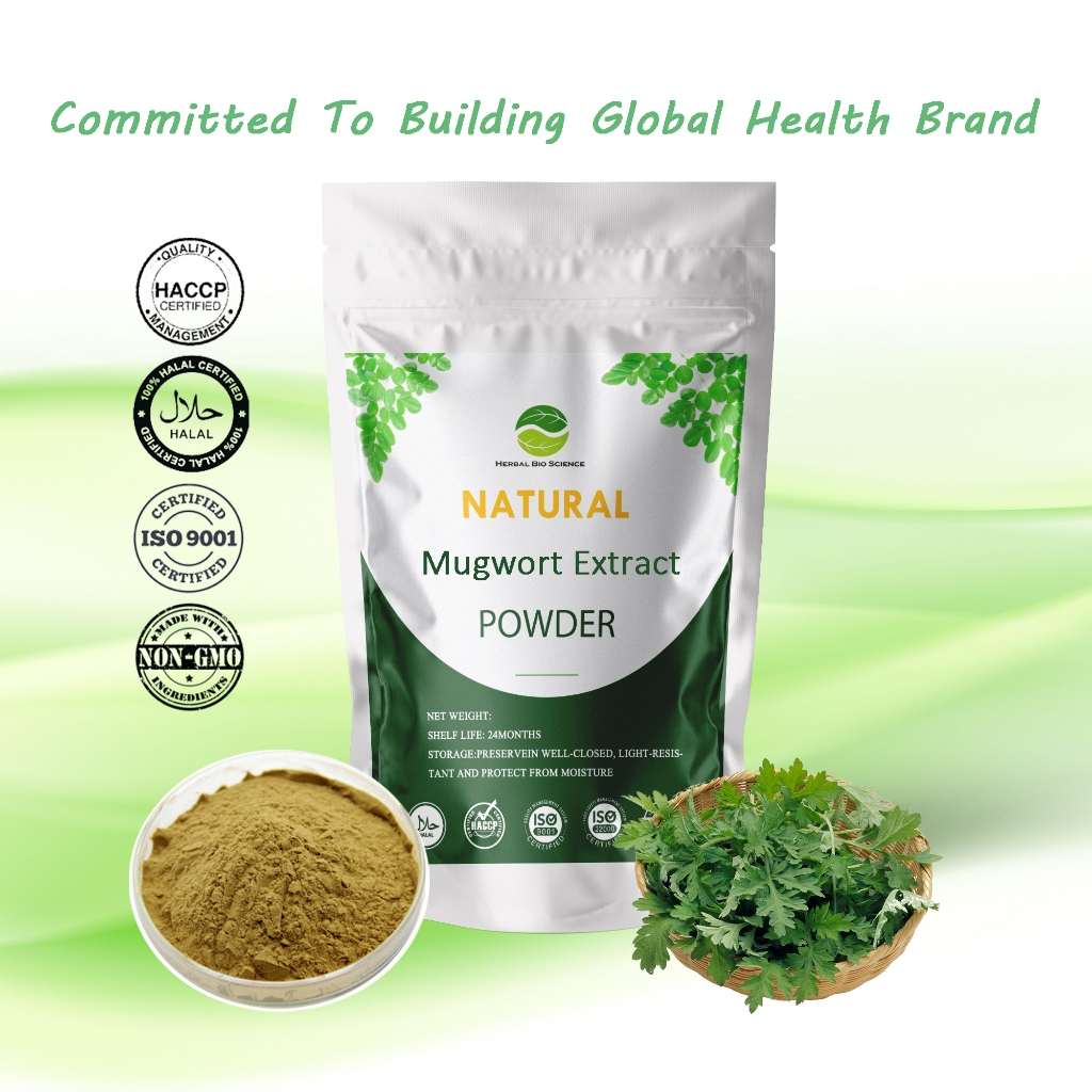 【Natural】Mugwort Extract Powder/Artemisia vulgaris/Relieving stress ...